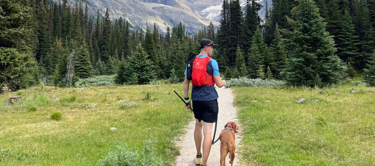 Trail Running with Dogs - Tips and Tricks with Athlete Evan Birch ...